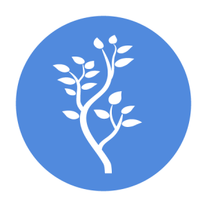 Best Life Coach Certification Program - Get Certified Online